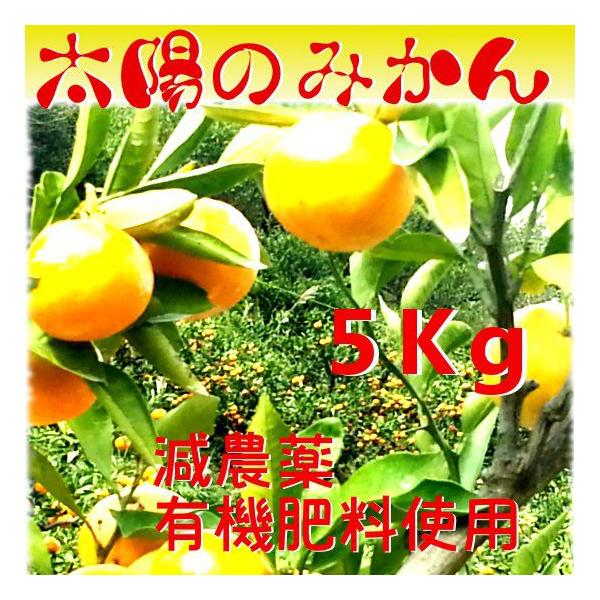 【発売日：2021年12月01日】みかん 【12月初旬頃より順次発送】太陽のみかんは本場和歌山県田辺市秋津川産の提携農家のみかんで、田辺市の少し山奥にあり日中と夜間の気温差がある為、みかんがとっても美味しく出来ます。農園より送料無料で産地直...