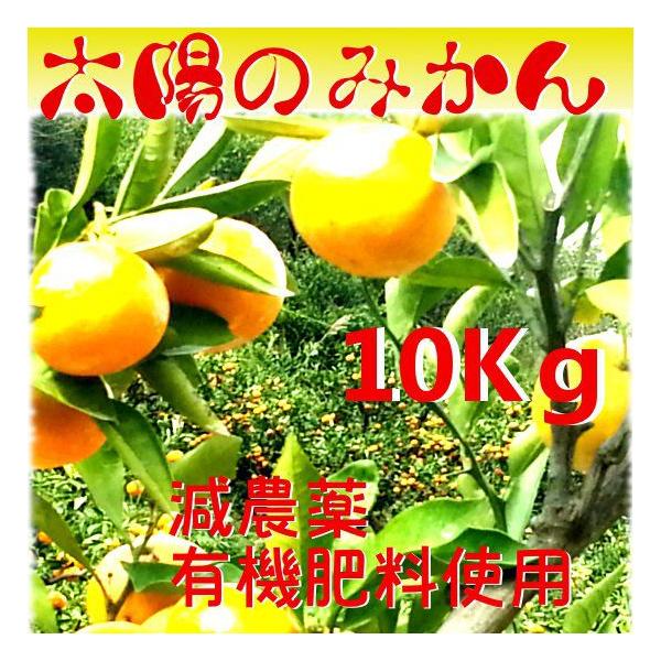 【発売日：2021年12月01日】みかん　【12月初旬頃より順次発送】太陽のみかんは本場和歌山県田辺市秋津川産の提携農家のみかんで、田辺市の少し山奥にあり日中と夜間の気温差がある為、みかんがとっても美味しく出来ます。サイズはＳＭ混合かＬサイ...