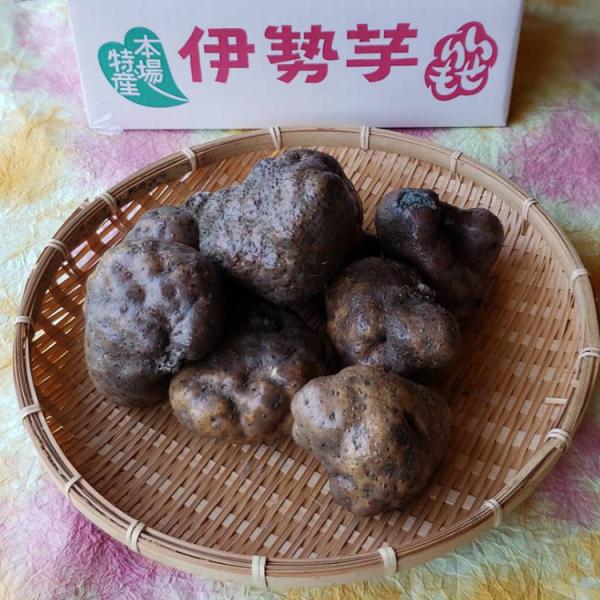 三重県多気郡多気町特産の伊勢芋。タンパク質、脂質、炭水化物を多く含み栄養価が高い。強い粘りに、濃厚なコクがあるが、味にクセはなく食べやすい