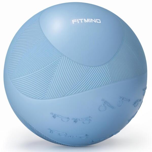 FITMIND バランスボール バランスぼーる ヨガポール ぼーる リハビリ ボール yoga ball エクササイズボール 子供 育児 gymnastic ball 厚い アンチバースト 耐荷重300kg ハンドポンプ付 （65cmインデ...