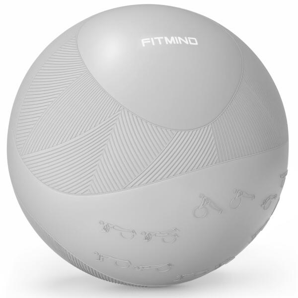 FITMIND バランスボール バランスぼーる ヨガポール ぼーる リハビリ ボール yoga ball エクササイズボール 子供 育児 gymnastic ball 厚い アンチバースト 耐荷重300kg ハンドポンプ付 （55cm グレ...