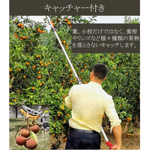 【耐久性と人間工学】高級炭素刃物工具で、刃が厚く耐久性のあるたいへんしっかりです。使用の安全性、人間工学および環境へのやさしさに関する基準のすべてに適合した林業用品です。【3WAY機能付き】ハサミ切り:1.5cmぐらい枝が鋏刃で、簡単に剪定...