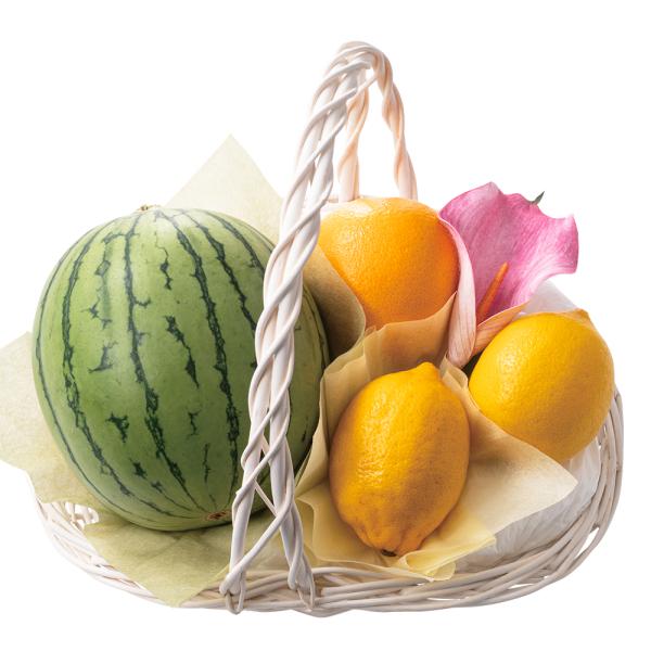 ●同梱不可 ●熨斗不可 ●母の日オリジナルラッピング ●商品の性質上、お届けまでにお時間のかかる地域（北海道利尻郡、北海道礼文島、伊豆諸島青ヶ島村、小笠原諸島、長崎県対馬市、鹿児島県奄美市、鹿児島県大島郡、沖縄県宮古郡、沖縄県八重山郡）への...