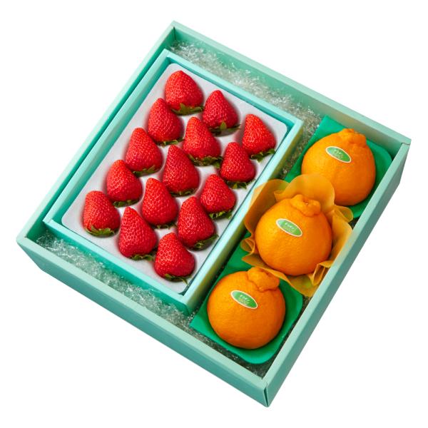 ●同梱不可商品●商品の性質上、お届けまでにお時間のかかる地域（北海道利尻郡・礼文郡、伊豆諸島青ヶ島村、小笠原諸島、島根県隠岐郡知夫村、長崎県対馬市、鹿児島県奄美市・大島郡・鹿児島郡・熊毛郡・西之表市、沖縄県石垣市・島尻郡北大東村・島尻郡久米...