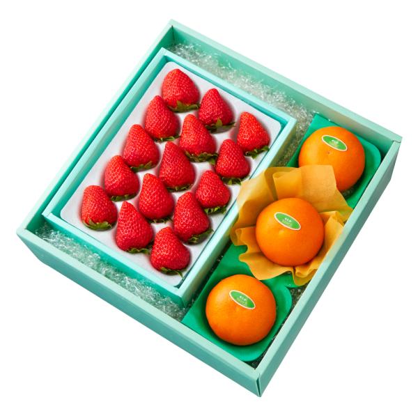 ●同梱不可商品●商品の性質上、お届けまでにお時間のかかる地域（北海道利尻郡・礼文郡、伊豆諸島青ヶ島村、小笠原諸島、島根県隠岐郡知夫村、長崎県対馬市、鹿児島県奄美市・大島郡・鹿児島郡・熊毛郡・西之表市、沖縄県石垣市・島尻郡北大東村・島尻郡久米...