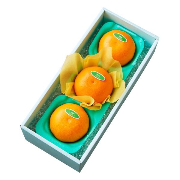 ●同梱不可商品●商品の性質上、お届けまでにお時間のかかる地域（北海道利尻郡・礼文郡、伊豆諸島青ヶ島村、小笠原諸島、島根県隠岐郡知夫村、長崎県対馬市、鹿児島県奄美市・大島郡・鹿児島郡・熊毛郡・西之表市、沖縄県石垣市・島尻郡北大東村・島尻郡久米...