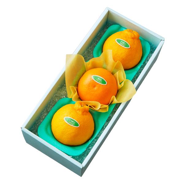 ●同梱不可商品●商品の性質上、お届けまでにお時間のかかる地域（北海道利尻郡・礼文郡、伊豆諸島青ヶ島村、小笠原諸島、島根県隠岐郡知夫村、長崎県対馬市、鹿児島県奄美市・大島郡・鹿児島郡・熊毛郡・西之表市、沖縄県石垣市・島尻郡北大東村・島尻郡久米...