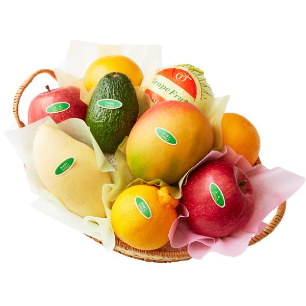 ●同梱不可商品●商品の性質上、お届けまでにお時間のかかる地域（北海道利尻郡・礼文郡、伊豆諸島青ヶ島村、小笠原諸島、島根県隠岐郡知夫村、長崎県対馬市、鹿児島県奄美市・大島郡・鹿児島郡・熊毛郡・西之表市、沖縄県石垣市・島尻郡北大東村・島尻郡久米...