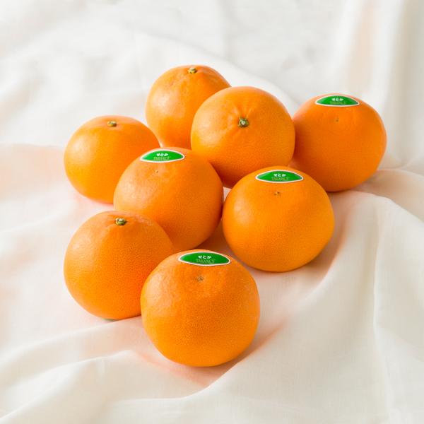 ●同梱不可商品●商品の性質上、お届けまでにお時間のかかる地域（北海道利尻郡・礼文郡、伊豆諸島青ヶ島村、小笠原諸島、島根県隠岐郡知夫村、長崎県対馬市、鹿児島県奄美市・大島郡・鹿児島郡・熊毛郡・西之表市、沖縄県石垣市・島尻郡北大東村・島尻郡久米...