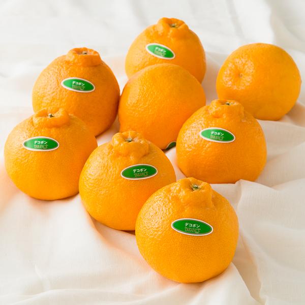 ●同梱不可商品●商品の性質上、お届けまでにお時間のかかる地域（北海道利尻郡・礼文郡、伊豆諸島青ヶ島村、小笠原諸島、島根県隠岐郡知夫村、長崎県対馬市、鹿児島県奄美市・大島郡・鹿児島郡・熊毛郡・西之表市、沖縄県石垣市・島尻郡北大東村・島尻郡久米...