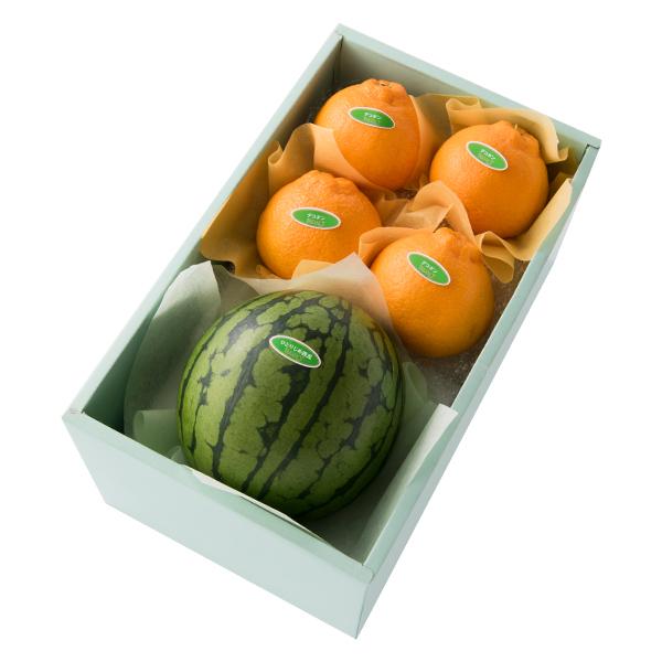 ●同梱不可商品●商品の性質上、北海道、九州、及びお届けまでにお時間のかかる地域（北海道利尻郡、北海道礼文島、伊豆諸島青ヶ島村、小笠原諸島、長崎県対馬市、鹿児島県奄美市、鹿児島県大島郡、沖縄県宮古郡、沖縄県八重山郡）へのお届けはお受けできませ...