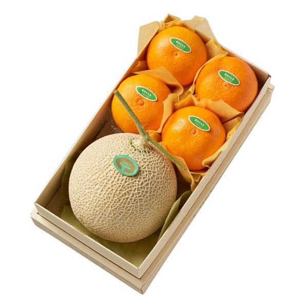 ●同梱不可商品●商品の性質上、お届けまでにお時間のかかる地域（北海道利尻郡、北海道礼文島、伊豆諸島青ヶ島村、小笠原諸島、長崎県対馬市、鹿児島県奄美市、鹿児島県大島郡、沖縄県宮古郡、沖縄県八重山郡）へのお届けはお受けできません。※東京より発送...