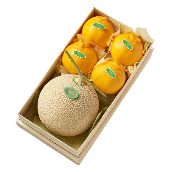 ●同梱不可商品●商品の性質上、お届けまでにお時間のかかる地域（北海道利尻郡・礼文郡、伊豆諸島青ヶ島村、小笠原諸島、島根県隠岐郡知夫村、長崎県対馬市、鹿児島県奄美市・大島郡・鹿児島郡・熊毛郡・西之表市、沖縄県石垣市・島尻郡北大東村・島尻郡久米...