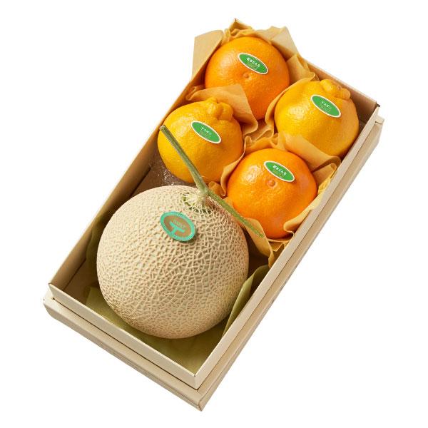 ●同梱不可商品●商品の性質上、お届けまでにお時間のかかる地域（北海道利尻郡・礼文郡、伊豆諸島青ヶ島村、小笠原諸島、島根県隠岐郡知夫村、長崎県対馬市、鹿児島県奄美市・大島郡・鹿児島郡・熊毛郡・西之表市、沖縄県石垣市・島尻郡北大東村・島尻郡久米...