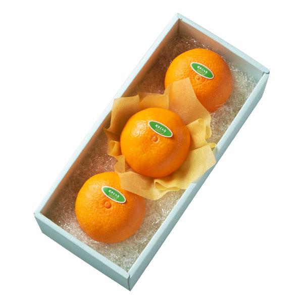 ●同梱不可商品●商品の性質上、お届けまでにお時間のかかる地域（北海道利尻郡、北海道礼文島、伊豆諸島青ヶ島村、小笠原諸島、長崎県対馬市、鹿児島県奄美市、鹿児島県大島郡、沖縄県宮古郡、沖縄県八重山郡）へのお届けはお受けできません。※東京より発送...