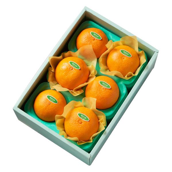 ●同梱不可商品●商品の性質上、お届けまでにお時間のかかる地域（北海道利尻郡、北海道礼文島、伊豆諸島青ヶ島村、小笠原諸島、長崎県対馬市、鹿児島県奄美市、鹿児島県大島郡、沖縄県宮古郡、沖縄県八重山郡）へのお届けはお受けできません。※東京より発送...