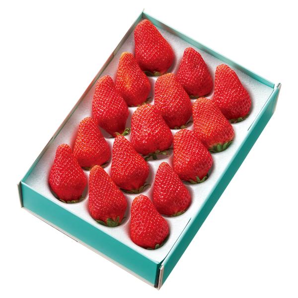 ●同梱不可商品●商品の性質上、お届けまでにお時間のかかる地域（北海道利尻郡・礼文郡、伊豆諸島青ヶ島村、小笠原諸島、島根県隠岐郡知夫村、長崎県対馬市、鹿児島県奄美市・大島郡・鹿児島郡・熊毛郡・西之表市、沖縄県石垣市・島尻郡北大東村・島尻郡久米...