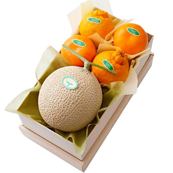 ●同梱不可商品●商品の性質上、お届けまでにお時間のかかる地域（北海道利尻郡・礼文郡、伊豆諸島青ヶ島村、小笠原諸島、島根県隠岐郡知夫村、長崎県対馬市、鹿児島県奄美市・大島郡・鹿児島郡・熊毛郡・西之表市、沖縄県石垣市・島尻郡北大東村・島尻郡久米...