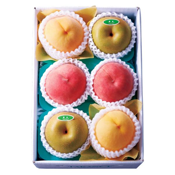 ●販売予定数100 ●同梱不可商品