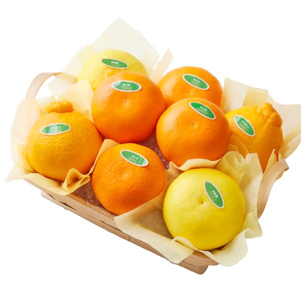 ●同梱不可商品●商品の性質上、お届けまでにお時間のかかる地域（北海道利尻郡・礼文郡、伊豆諸島青ヶ島村、小笠原諸島、島根県隠岐郡知夫村、長崎県対馬市、鹿児島県奄美市・大島郡・鹿児島郡・熊毛郡・西之表市、沖縄県石垣市・島尻郡北大東村・島尻郡久米...