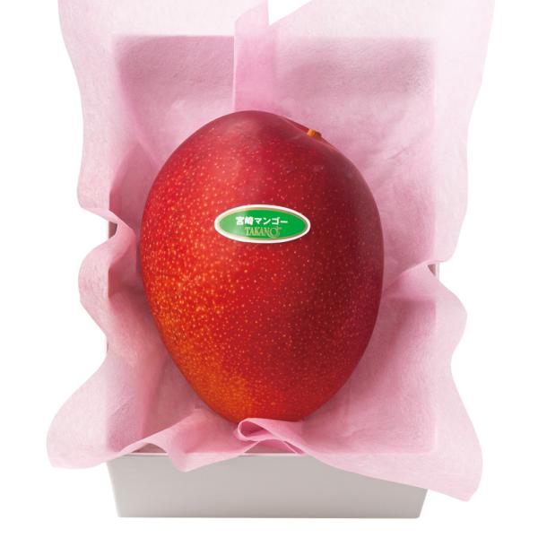 ●同梱不可 ●熨斗不可 ●母の日オリジナルラッピング ●商品の性質上、お届けまでにお時間のかかる地域（北海道利尻郡、北海道礼文島、伊豆諸島青ヶ島村、小笠原諸島、長崎県対馬市、鹿児島県奄美市、鹿児島県大島郡、沖縄県宮古郡、沖縄県八重山郡）への...