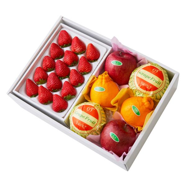 ●同梱不可商品●商品の性質上、お届けまでにお時間のかかる地域（北海道利尻郡・礼文郡、伊豆諸島青ヶ島村、小笠原諸島、島根県隠岐郡知夫村、長崎県対馬市、鹿児島県奄美市・大島郡・鹿児島郡・熊毛郡・西之表市、沖縄県石垣市・島尻郡北大東村・島尻郡久米...