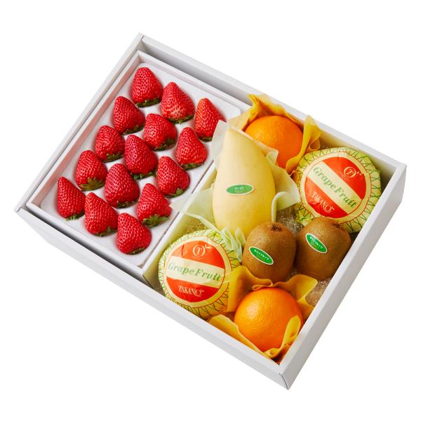 ●同梱不可商品●商品の性質上、お届けまでにお時間のかかる地域（北海道利尻郡・礼文郡、伊豆諸島青ヶ島村、小笠原諸島、島根県隠岐郡知夫村、長崎県対馬市、鹿児島県奄美市・大島郡・鹿児島郡・熊毛郡・西之表市、沖縄県石垣市・島尻郡北大東村・島尻郡久米...