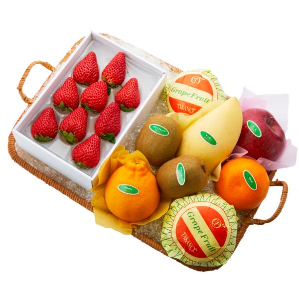 ●同梱不可商品●商品の性質上、お届けまでにお時間のかかる地域（北海道利尻郡・礼文郡、伊豆諸島青ヶ島村、小笠原諸島、島根県隠岐郡知夫村、長崎県対馬市、鹿児島県奄美市・大島郡・鹿児島郡・熊毛郡・西之表市、沖縄県石垣市・島尻郡北大東村・島尻郡久米...