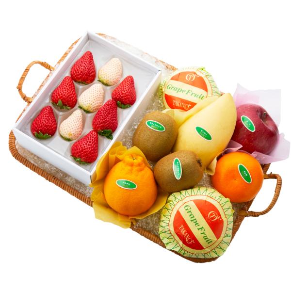 ●同梱不可商品●商品の性質上、お届けまでにお時間のかかる地域（北海道利尻郡・礼文郡、伊豆諸島青ヶ島村、小笠原諸島、島根県隠岐郡知夫村、長崎県対馬市、鹿児島県奄美市・大島郡・鹿児島郡・熊毛郡・西之表市、沖縄県石垣市・島尻郡北大東村・島尻郡久米...