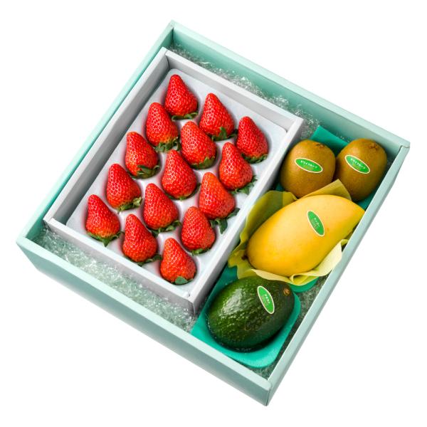 ●同梱不可商品●商品の性質上、お届けまでにお時間のかかる地域（北海道利尻郡・礼文郡、伊豆諸島青ヶ島村、小笠原諸島、島根県隠岐郡知夫村、長崎県対馬市、鹿児島県奄美市・大島郡・鹿児島郡・熊毛郡・西之表市、沖縄県石垣市・島尻郡北大東村・島尻郡久米...