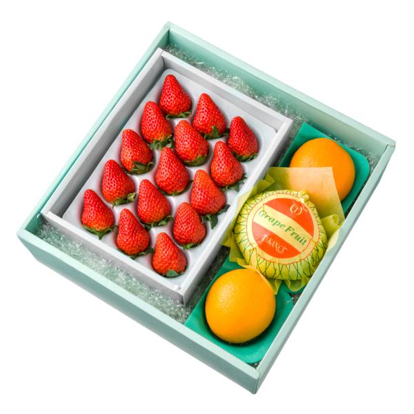 ●同梱不可商品●商品の性質上、お届けまでにお時間のかかる地域（北海道利尻郡・礼文郡、伊豆諸島青ヶ島村、小笠原諸島、島根県隠岐郡知夫村、長崎県対馬市、鹿児島県奄美市・大島郡・鹿児島郡・熊毛郡・西之表市、沖縄県石垣市・島尻郡北大東村・島尻郡久米...