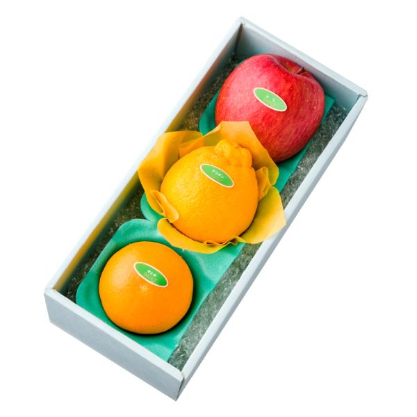 ●同梱不可商品●商品の性質上、お届けまでにお時間のかかる地域（北海道利尻郡・礼文郡、伊豆諸島青ヶ島村、小笠原諸島、島根県隠岐郡知夫村、長崎県対馬市、鹿児島県奄美市・大島郡・鹿児島郡・熊毛郡・西之表市、沖縄県石垣市・島尻郡北大東村・島尻郡久米...