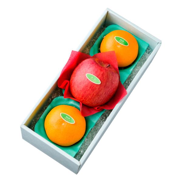 ●同梱不可商品●商品の性質上、お届けまでにお時間のかかる地域（北海道利尻郡・礼文郡、伊豆諸島青ヶ島村、小笠原諸島、島根県隠岐郡知夫村、長崎県対馬市、鹿児島県奄美市・大島郡・鹿児島郡・熊毛郡・西之表市、沖縄県石垣市・島尻郡北大東村・島尻郡久米...