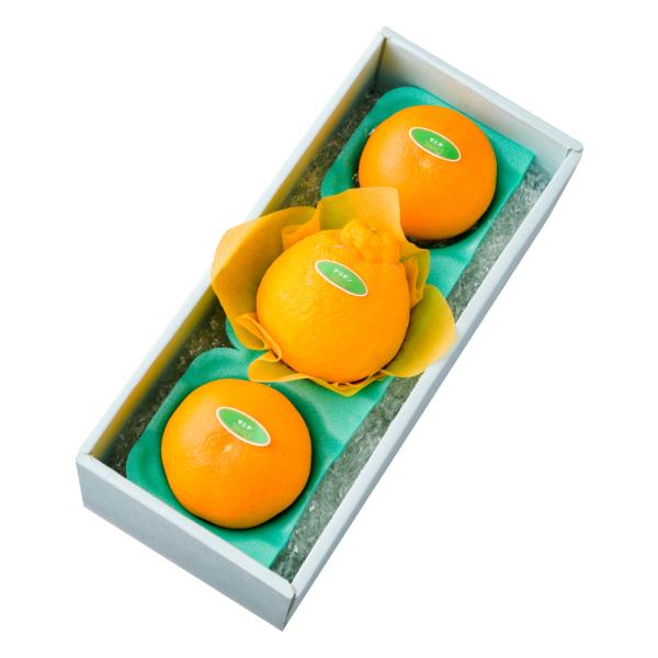 ●同梱不可商品●商品の性質上、お届けまでにお時間のかかる地域（北海道利尻郡・礼文郡、伊豆諸島青ヶ島村、小笠原諸島、島根県隠岐郡知夫村、長崎県対馬市、鹿児島県奄美市・大島郡・鹿児島郡・熊毛郡・西之表市、沖縄県石垣市・島尻郡北大東村・島尻郡久米...