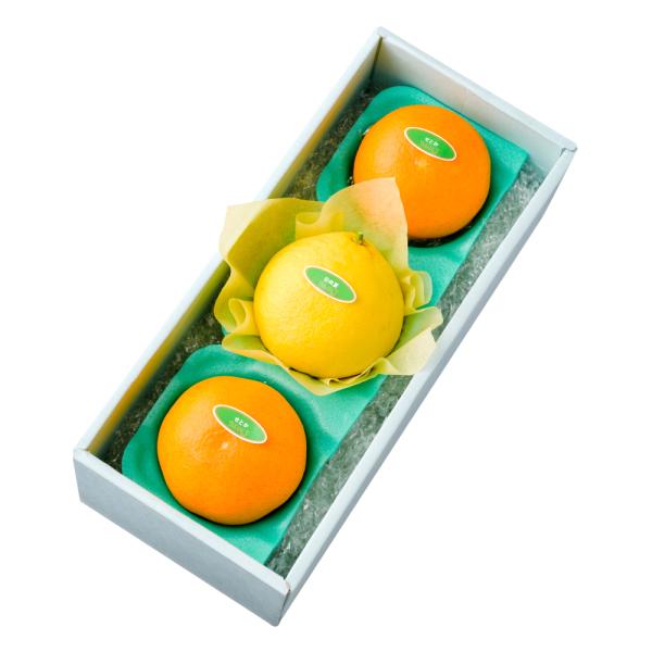 ●同梱不可商品●商品の性質上、お届けまでにお時間のかかる地域（北海道利尻郡・礼文郡、伊豆諸島青ヶ島村、小笠原諸島、島根県隠岐郡知夫村、長崎県対馬市、鹿児島県奄美市・大島郡・鹿児島郡・熊毛郡・西之表市、沖縄県石垣市・島尻郡北大東村・島尻郡久米...