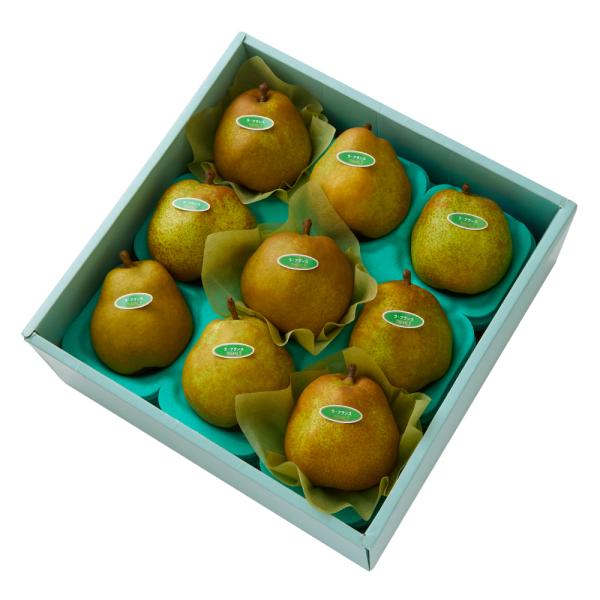 ●同梱不可商品●商品の性質上、お届けまでにお時間のかかる地域（北海道利尻郡・礼文郡、伊豆諸島青ヶ島村、小笠原諸島、島根県隠岐郡知夫村、長崎県対馬市、鹿児島県奄美市・大島郡・鹿児島郡・熊毛郡・西之表市、沖縄県石垣市・島尻郡北大東村・島尻郡久米...