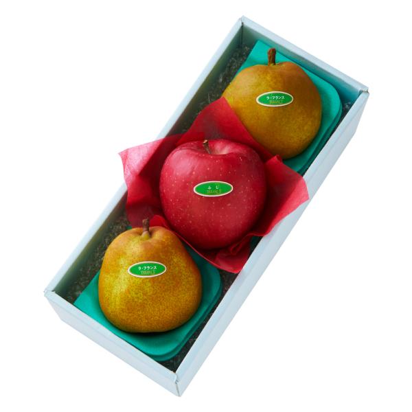 ●同梱不可商品●商品の性質上、お届けまでにお時間のかかる地域（北海道利尻郡・礼文郡、伊豆諸島青ヶ島村、小笠原諸島、島根県隠岐郡知夫村、長崎県対馬市、鹿児島県奄美市・大島郡・鹿児島郡・熊毛郡・西之表市、沖縄県石垣市・島尻郡北大東村・島尻郡久米...