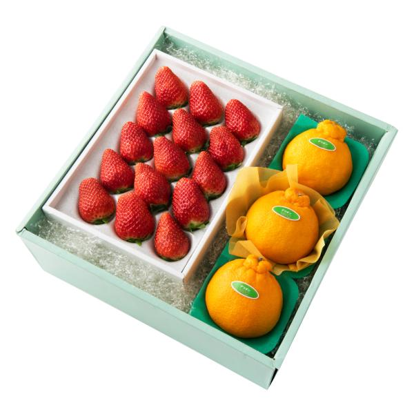 ●同梱不可商品●商品の性質上、お届けまでにお時間のかかる地域（北海道利尻郡・礼文郡、伊豆諸島青ヶ島村、小笠原諸島、島根県隠岐郡知夫村、長崎県対馬市、鹿児島県奄美市・大島郡・鹿児島郡・熊毛郡・西之表市、沖縄県石垣市・島尻郡北大東村・島尻郡久米...