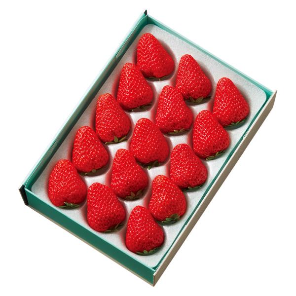 ●同梱不可商品●商品の性質上、お届けまでにお時間のかかる地域（北海道利尻郡・礼文郡、伊豆諸島青ヶ島村、小笠原諸島、島根県隠岐郡知夫村、長崎県対馬市、鹿児島県奄美市・大島郡・鹿児島郡・熊毛郡・西之表市、沖縄県石垣市・島尻郡北大東村・島尻郡久米...