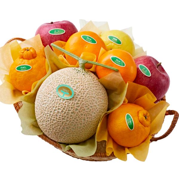 ●同梱不可商品●商品の性質上、お届けまでにお時間のかかる地域（北海道利尻郡・礼文郡、伊豆諸島青ヶ島村、小笠原諸島、島根県隠岐郡知夫村、長崎県対馬市、鹿児島県奄美市・大島郡・鹿児島郡・熊毛郡・西之表市、沖縄県石垣市・島尻郡北大東村・島尻郡久米...