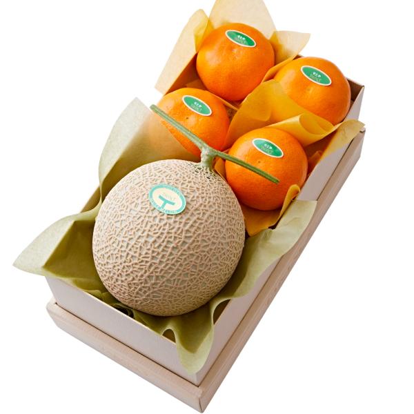 ●同梱不可商品●商品の性質上、お届けまでにお時間のかかる地域（北海道利尻郡・礼文郡、伊豆諸島青ヶ島村、小笠原諸島、島根県隠岐郡知夫村、長崎県対馬市、鹿児島県奄美市・大島郡・鹿児島郡・熊毛郡・西之表市、沖縄県石垣市・島尻郡北大東村・島尻郡久米...