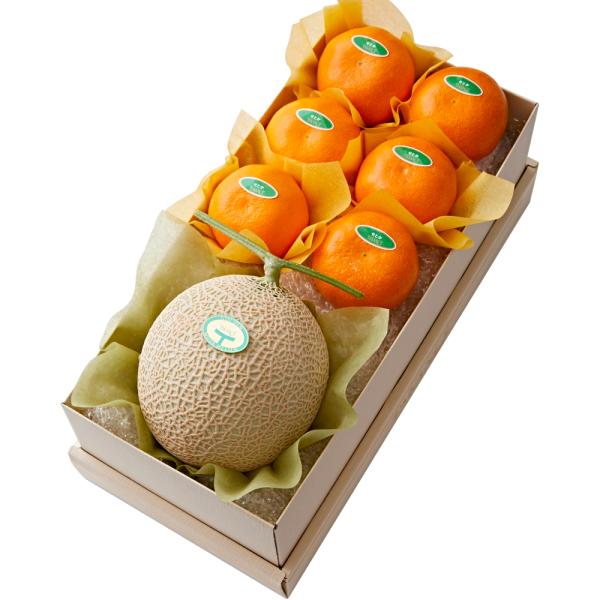 ●同梱不可商品●商品の性質上、お届けまでにお時間のかかる地域（北海道利尻郡・礼文郡、伊豆諸島青ヶ島村、小笠原諸島、島根県隠岐郡知夫村、長崎県対馬市、鹿児島県奄美市・大島郡・鹿児島郡・熊毛郡・西之表市、沖縄県石垣市・島尻郡北大東村・島尻郡久米...