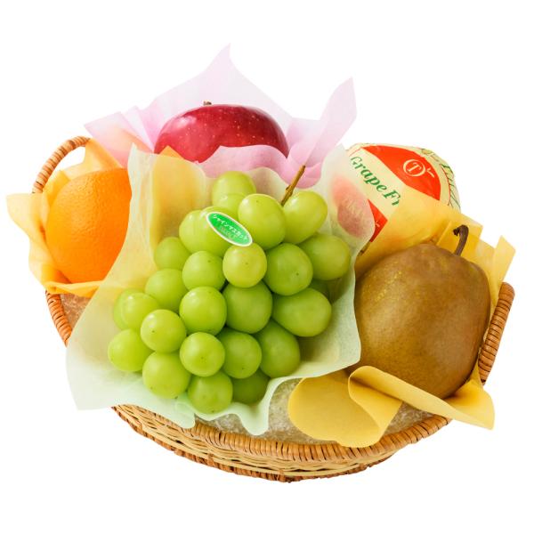 ●同梱不可商品●商品の性質上、お届けまでにお時間のかかる地域（北海道利尻郡・礼文郡、伊豆諸島青ヶ島村、小笠原諸島、島根県隠岐郡知夫村、長崎県対馬市、鹿児島県奄美市・大島郡・鹿児島郡・熊毛郡・西之表市、沖縄県石垣市・島尻郡北大東村・島尻郡久米...