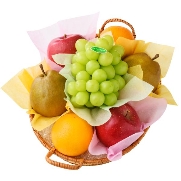 ●同梱不可商品●商品の性質上、お届けまでにお時間のかかる地域（北海道利尻郡・礼文郡、伊豆諸島青ヶ島村、小笠原諸島、島根県隠岐郡知夫村、長崎県対馬市、鹿児島県奄美市・大島郡・鹿児島郡・熊毛郡・西之表市、沖縄県石垣市・島尻郡北大東村・島尻郡久米...