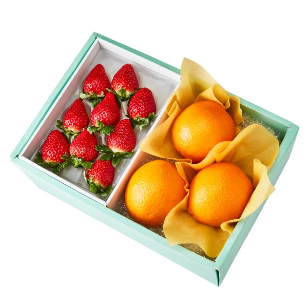 ●同梱不可商品●商品の性質上、お届けまでにお時間のかかる地域（北海道利尻郡・礼文郡、伊豆諸島青ヶ島村、小笠原諸島、島根県隠岐郡知夫村、長崎県対馬市、鹿児島県奄美市・大島郡・鹿児島郡・熊毛郡・西之表市、沖縄県石垣市・島尻郡北大東村・島尻郡久米...