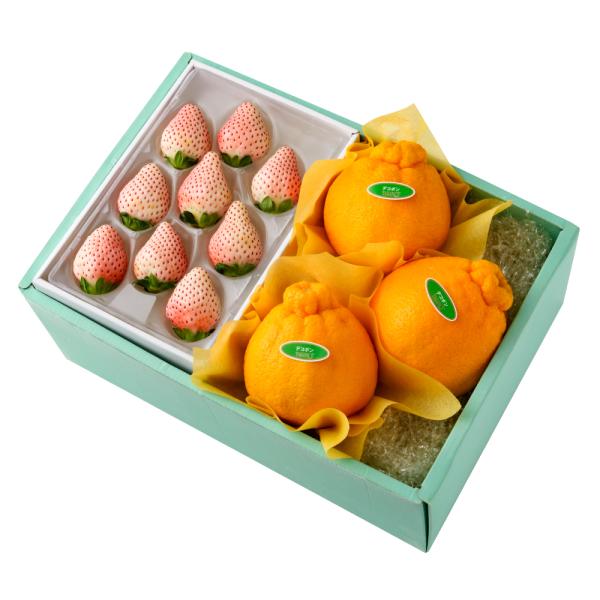 ●同梱不可商品●商品の性質上、お届けまでにお時間のかかる地域（北海道利尻郡、北海道礼文島、伊豆諸島青ヶ島村、小笠原諸島、長崎県対馬市、鹿児島県奄美市、鹿児島県大島郡、沖縄県宮古郡、沖縄県八重山郡）へのお届けはお受けできません。※東京より発送...