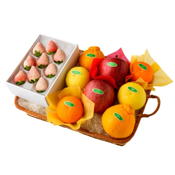 ●同梱不可商品●商品の性質上、お届けまでにお時間のかかる地域（北海道利尻郡・礼文郡、伊豆諸島青ヶ島村、小笠原諸島、島根県隠岐郡知夫村、長崎県対馬市、鹿児島県奄美市・大島郡・鹿児島郡・熊毛郡・西之表市、沖縄県石垣市・島尻郡北大東村・島尻郡久米...