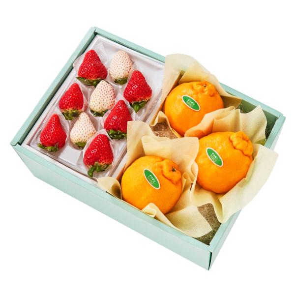 ●同梱不可商品●商品の性質上、お届けまでにお時間のかかる地域（北海道利尻郡・礼文郡、伊豆諸島青ヶ島村、小笠原諸島、島根県隠岐郡知夫村、長崎県対馬市、鹿児島県奄美市・大島郡・鹿児島郡・熊毛郡・西之表市、沖縄県石垣市・島尻郡北大東村・島尻郡久米...