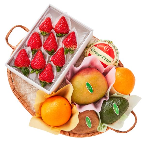 ●同梱不可商品●商品の性質上、お届けまでにお時間のかかる地域（北海道利尻郡・礼文郡、伊豆諸島青ヶ島村、小笠原諸島、島根県隠岐郡知夫村、長崎県対馬市、鹿児島県奄美市・大島郡・鹿児島郡・熊毛郡・西之表市、沖縄県石垣市・島尻郡北大東村・島尻郡久米...