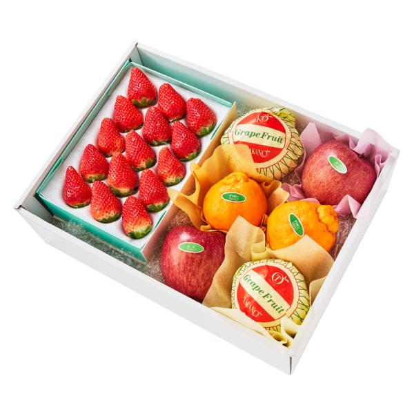 ●同梱不可商品●商品の性質上、お届けまでにお時間のかかる地域（北海道利尻郡・礼文郡、伊豆諸島青ヶ島村、小笠原諸島、島根県隠岐郡知夫村、長崎県対馬市、鹿児島県奄美市・大島郡・鹿児島郡・熊毛郡・西之表市、沖縄県石垣市・島尻郡北大東村・島尻郡久米...